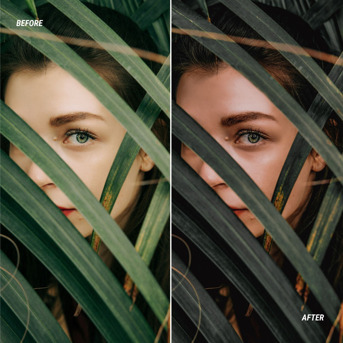 TROPICAL Lightroom Desktop Presets | JuliPresets | Best Lr Filters ...